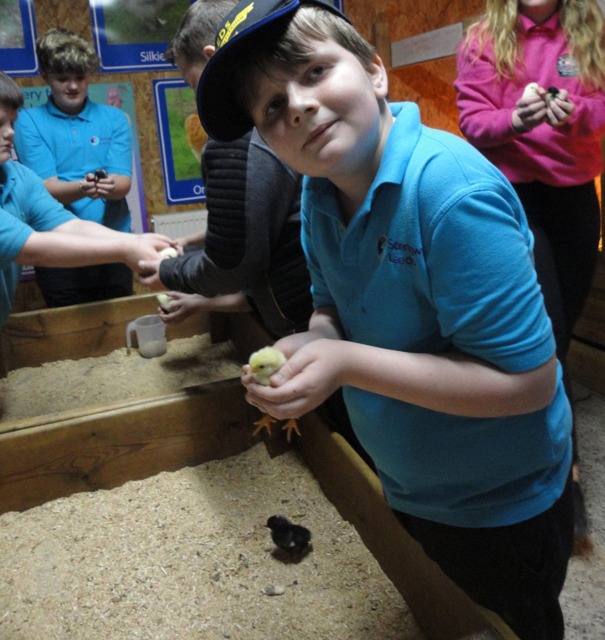 Home - Springwell Leeds Academy : Springwell Leeds Academy